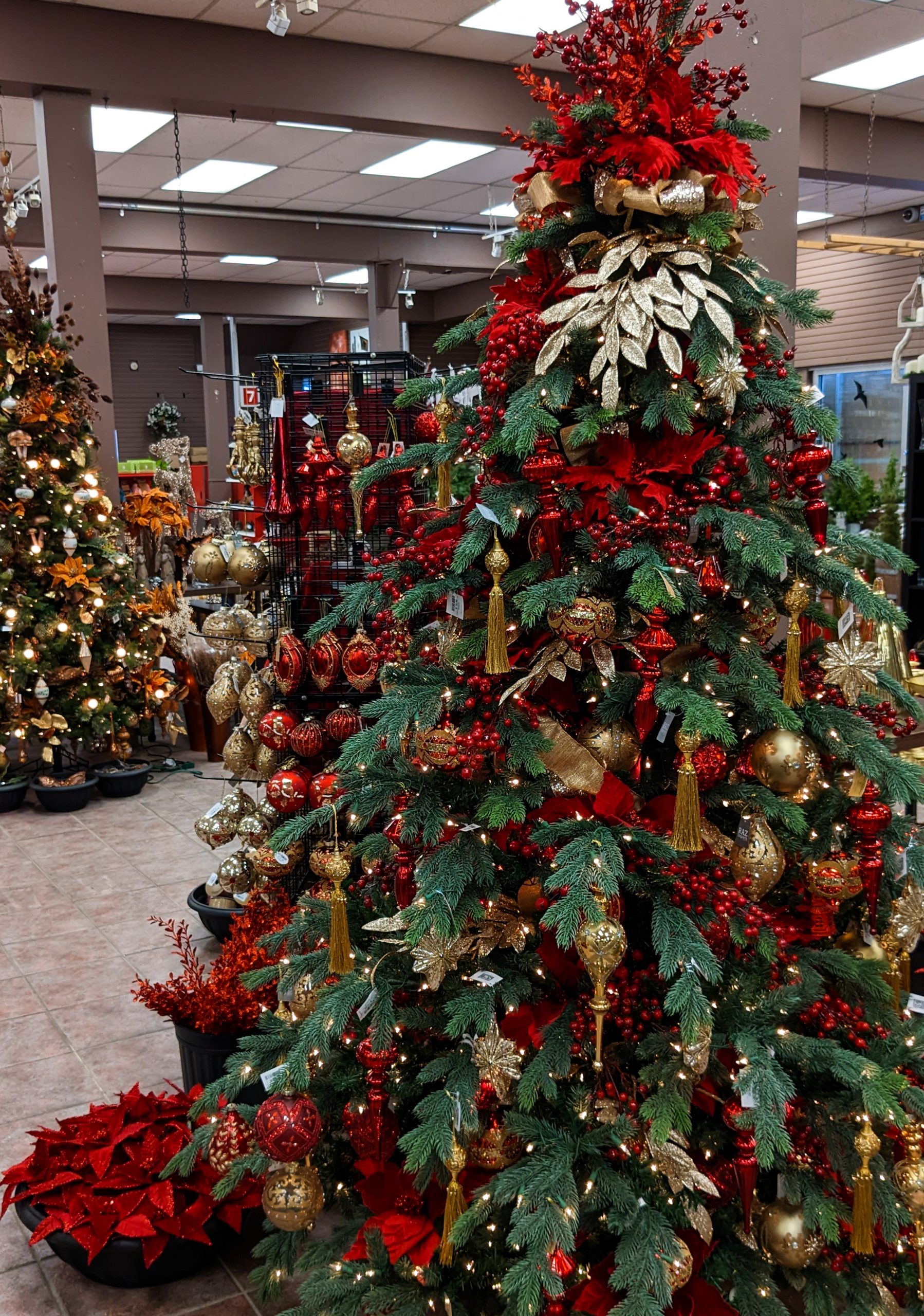 GALLERY – Golden Acre Home & Garden