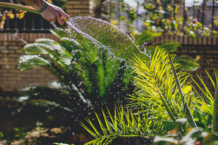 Watering – Golden Acre Home & Garden